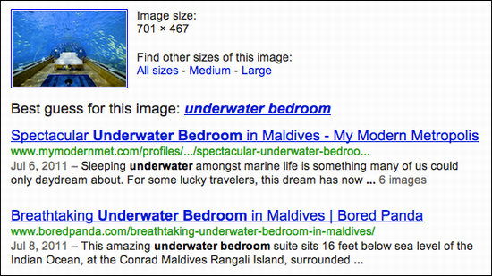 Use Google Image Search to Identify a Photograph?
