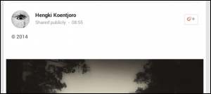 Stop the Pinterest “Pin It” button appearing on images in Chrome?