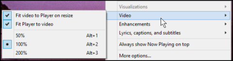 Hide Controls in Windows Media Player?
