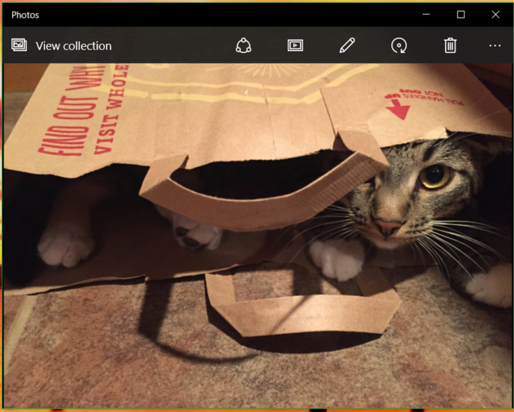 How do I rotate a photo in Windows 10?