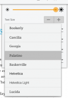 How to customize your Kindle ebook display?