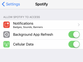 How do I Disable Spotify Cellular Data Usage?