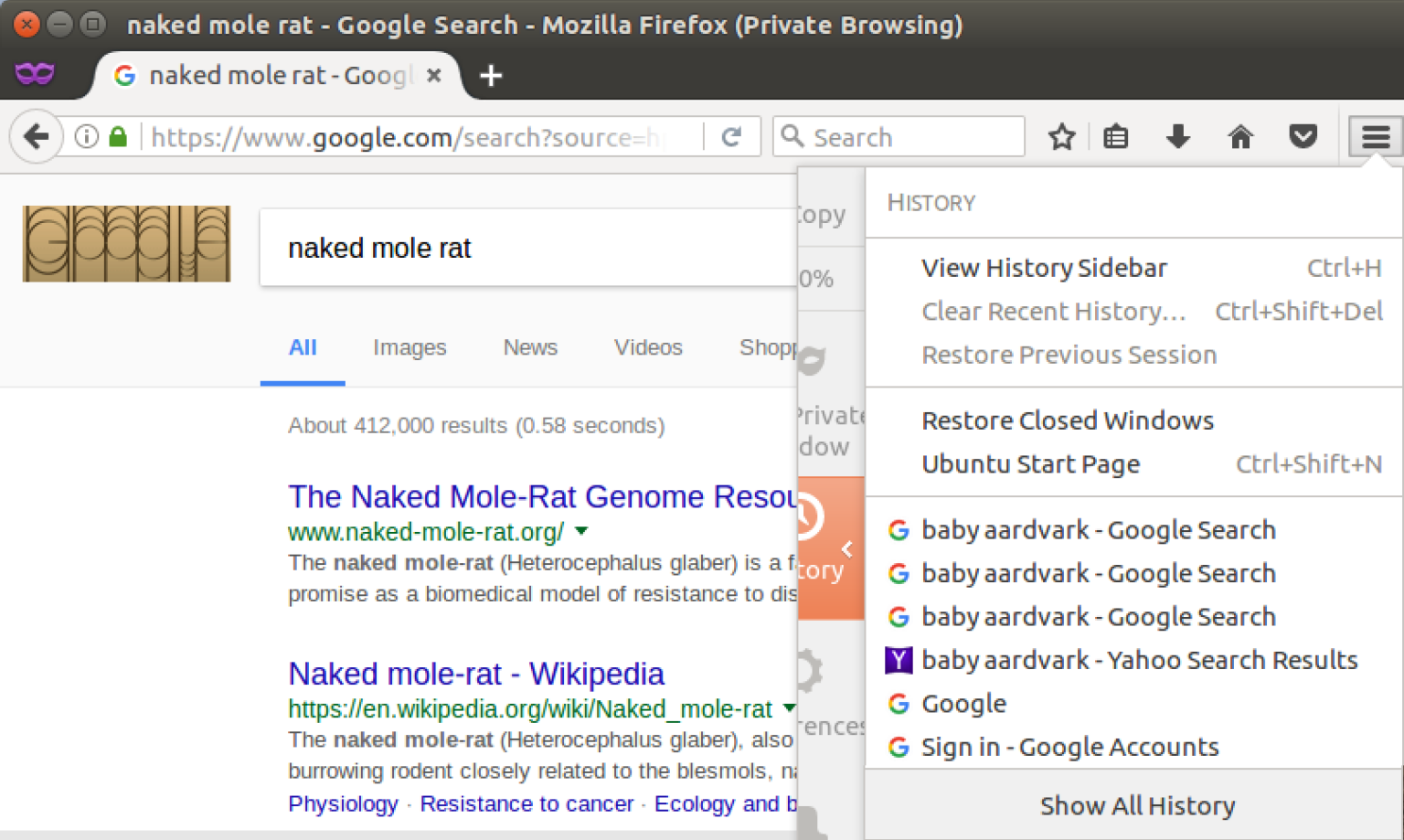 How Can I Browse Privately without Tracking in Firefox?