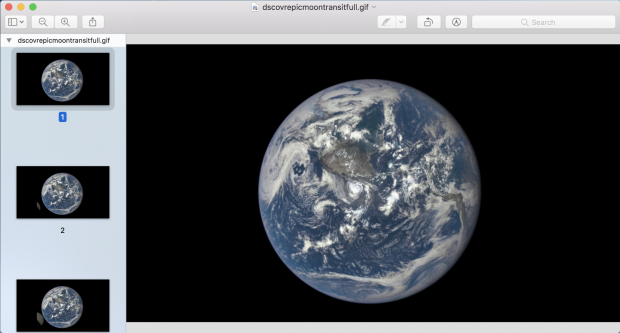 Extract a Single Frame from an Animated GIF?