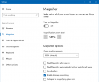 How to Use the Windows 10 Magnifier Feature?
