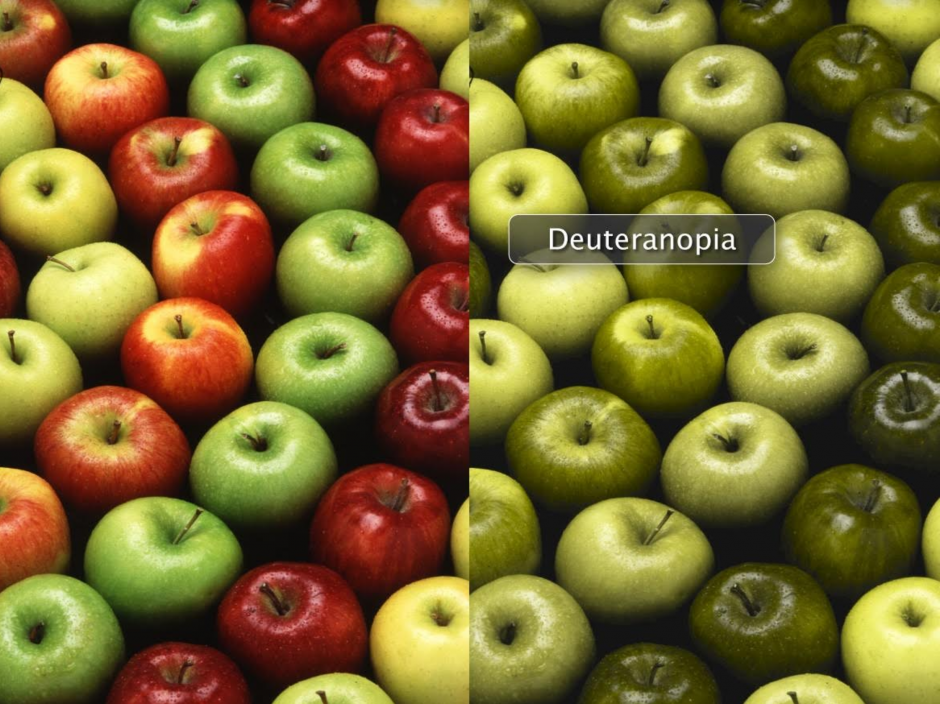 Accessibility Tools for Web Developers?