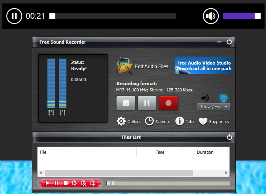 How to Record Audio Streamed from a Website?