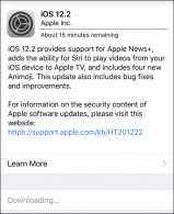 How Can I Force an iOS Update on my iPhone?