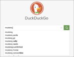 Search Smarter with The DuckDuckGo Search Engine