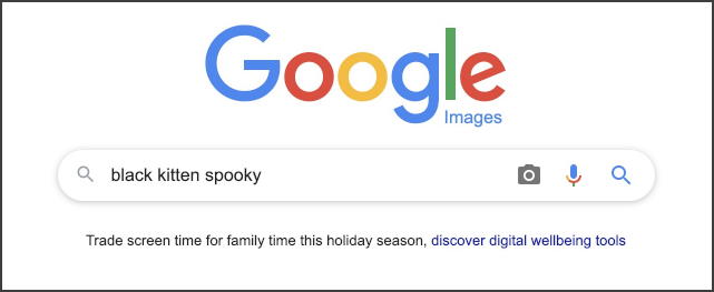 How Can I find Royalty Free Photographs Online?