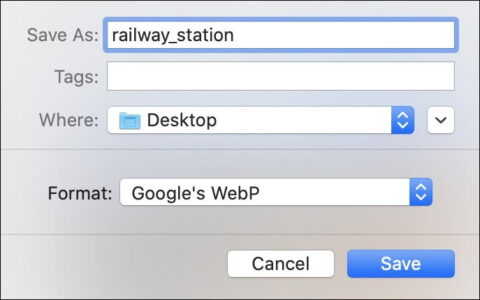 How Can I Save Images in JPEG or PNG, Not WEBP?