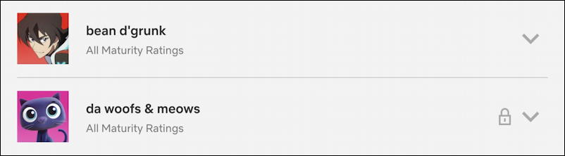 How Can I Set a Security PIN For my Netflix Profile?