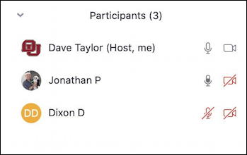 What Controls do I Gain as Host of a Zoom Meeting?