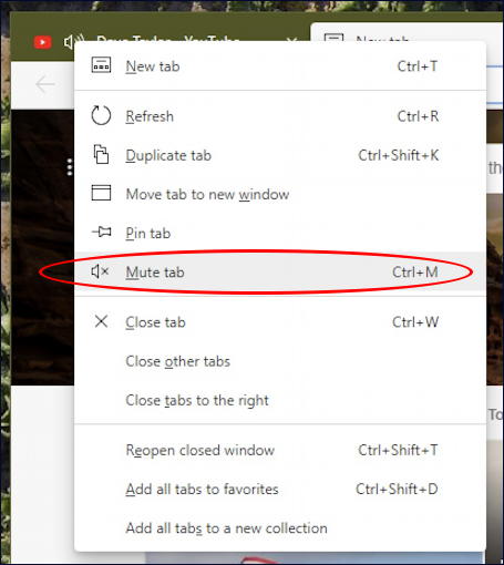Can I Mute Web Pages Without Muting My Computer?