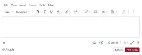 How To Get Started with the Canvas LMS Rich Text Editor?