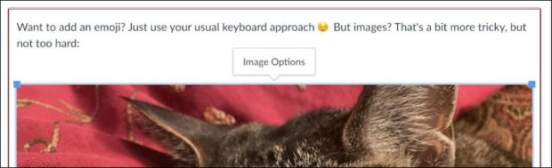 How To Get Started with the Canvas LMS Rich Text Editor?