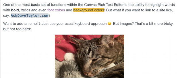 How To Get Started with the Canvas LMS Rich Text Editor?