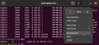 How do I launch and customize “Terminal” in Ubuntu Linux?