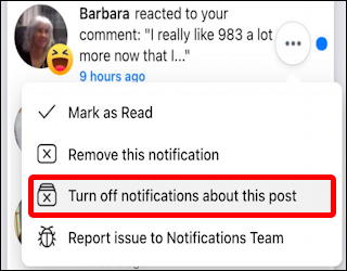 How Can I Reduce Facebook Notifications on my Computer?