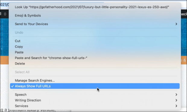 How to Force Google Chrome to Always Show Full URLs?
