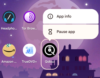 How Can I Identify App Version for Android Apps?