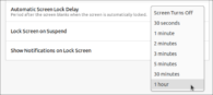 How to Change Screen Blank and Lock Delays in Ubuntu Linux?
