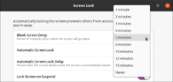 How to Change Screen Blank and Lock Delays in Ubuntu Linux?