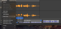 How To Change Audacity’s Theme or Appearance?