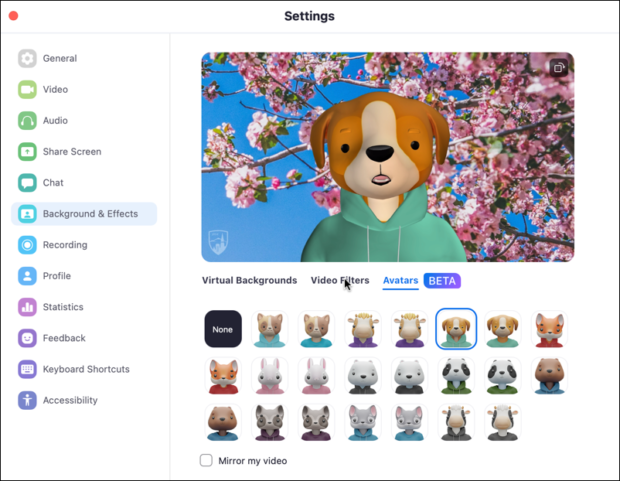 How Can I Use the Zoom Animal Avatars on my next Zoom Call?