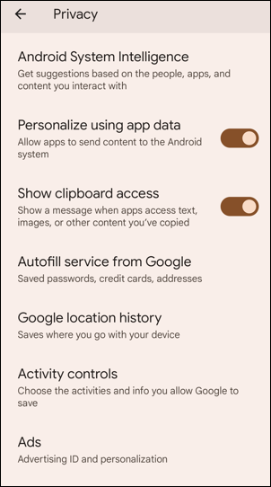 Key Privacy Settings to Change in Android 12?