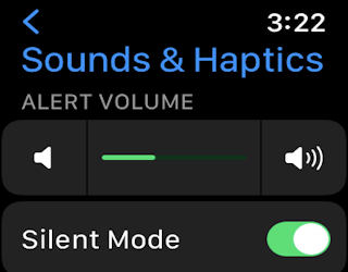 How Do You Lower the Volume on Apple Watch Alerts?
