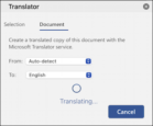 Is It Possible to Translate a Microsoft Word Doc Into Another Language?