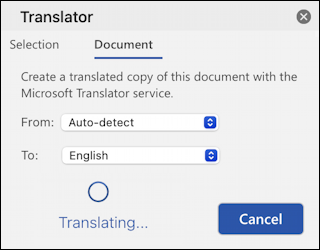 Is It Possible to Translate a Microsoft Word Doc Into Another Language?