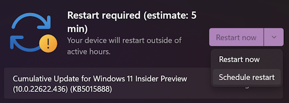 Possible to Schedule a Windows 11 System Update & Restart?