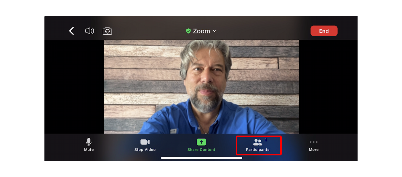 How Can I Rename Myself in Zoom for iPhone/iPad? - Ask Dave Taylor