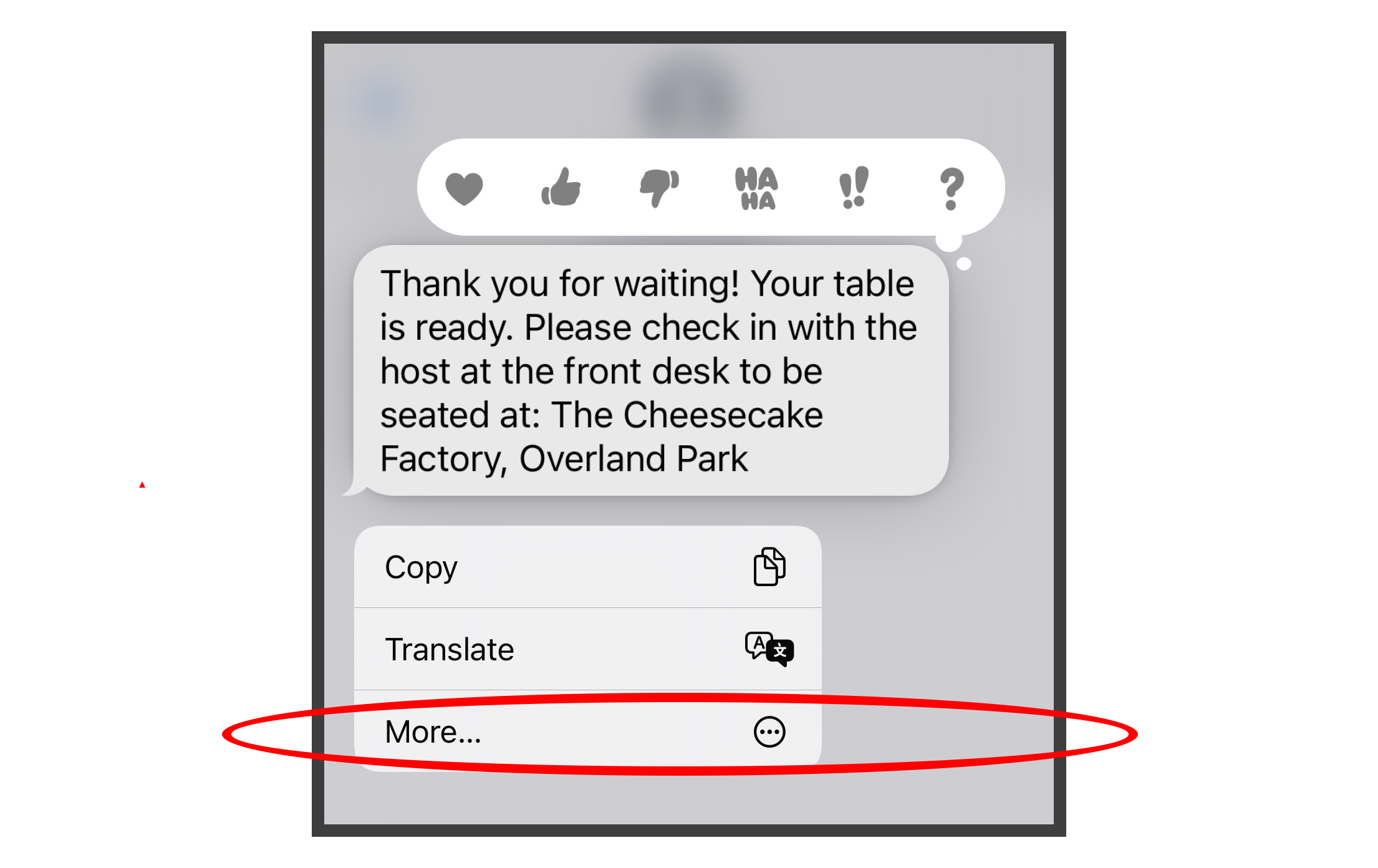 Easy Way to Forward or Share an SMS Text Message on an iPhone? - Ask ...