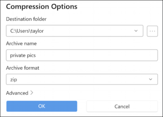 Can I Encrypt and Password Protect a ZIP Archive on a Windows PC?