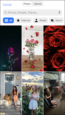 Guide to Adding an iPhone Rose Wallpaper to a Modern iPhone