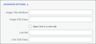 Quick Guide to Resizing and Linking Images in WordPress