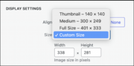 Quick Guide to Resizing and Linking Images in WordPress
