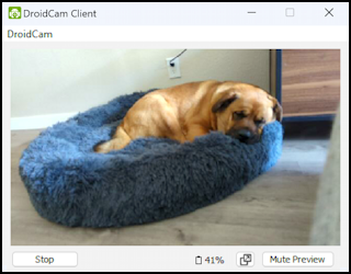 How to Use a Smartphone as a Windows Webcam