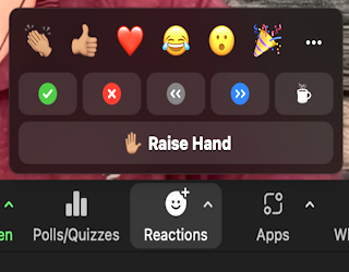 Guide to “Raising Your Hand” Digitally in a Zoom Meeting