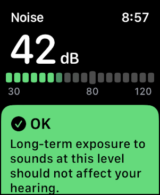 Monitor Dangerously Loud Noise with an Apple Watch?
