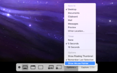 How to Add the Cursor to MacOS Screen Captures?