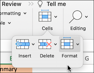 How Can I Add a Cell Border to an Excel Spreadsheet Value?
