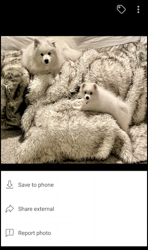 How to Save Facebook Pics to your Android Phone