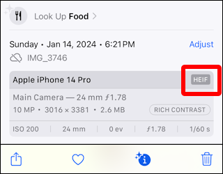 Convert HEIC Photos on an iPhone to PNG Format