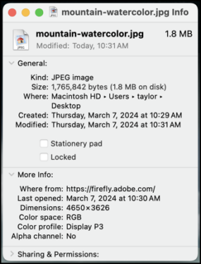 Is Gmail Reducing the Size of my Included or Attached Images?