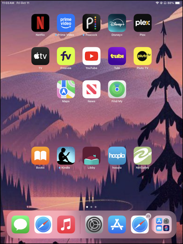 How to Customize Your iPad Screen and Add Widgets too!