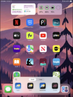 How to Customize Your iPad Screen and Add Widgets too!